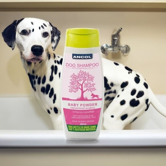 Ancol | Dog | Baby Powder Scent Dog Shampoo Puppy Safe Euro Formula ...